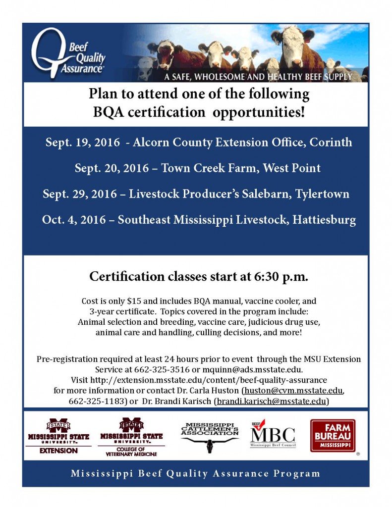 Population Medicine and Beef Quality Assurance | The Risk Project