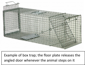 TNR | The Risk Project