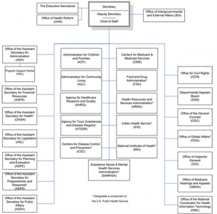 Department of Human and Health Services Agencies and Acts Related to ...